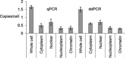 Quantification Of Cyclooxygenase 2 Long Noncoding RNA COX 2 LncRNA By