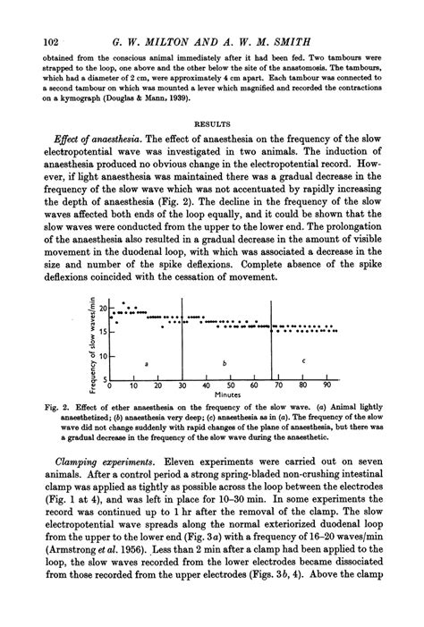 The Pacemaking Area Of The Duodenum Pmc