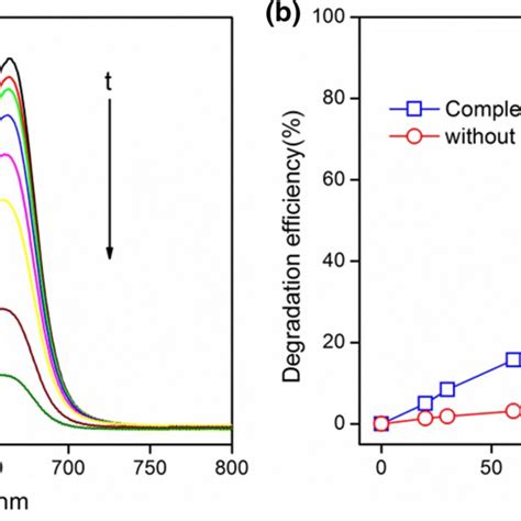 A Absorption Spectra Of The Mb Solution During The Decomposition