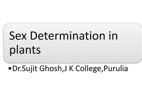 Sex Determination Ppt