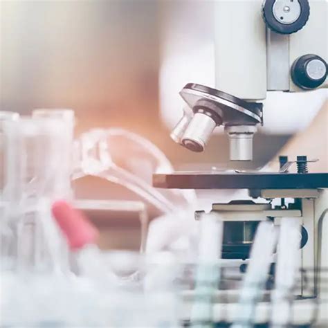 Hepatitis Test Centre Near Jeevan Anmol Hospital Delhi Ganesh Diagnostic