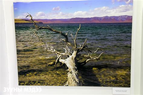 Фото “Уур амьсгалын өөрчлөлт”