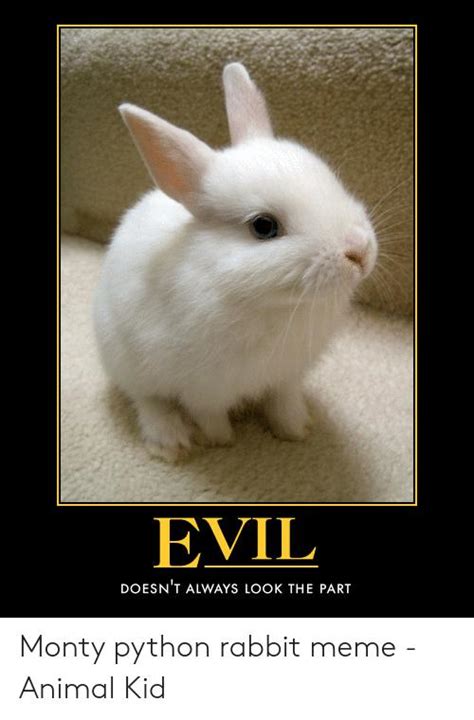 Monty Python Rabbit Meme