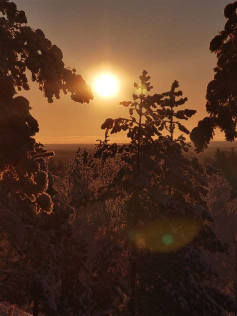 Лесная сказка Карелии Семейный тур на праздники в Карелию · отдых по цене от 57 900