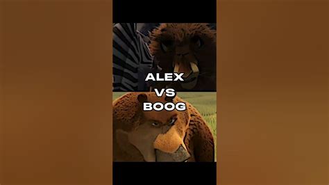 Alex Vs Boog Youtube