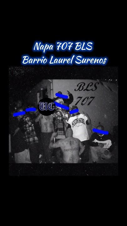 Napa Surenos 707 Bls Barrio Laurel Surenos 707 Cholo Barrio