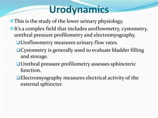 Investigations In Urology PPT
