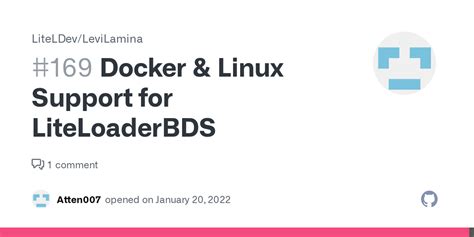 Docker And Linux Support For Liteloaderbds · Issue 169 · Liteldev