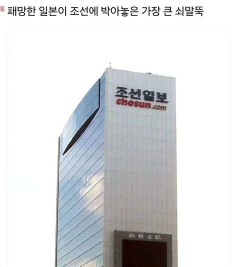 서울에 박혀있는 쇠말뚝 촬스의 이슈와 유머