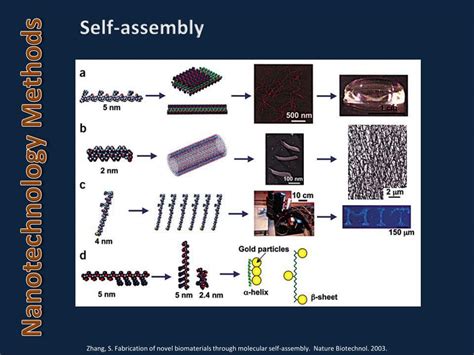PPT Nanotechnology In Cell And Tissue Engineering PowerPoint Presentation ID