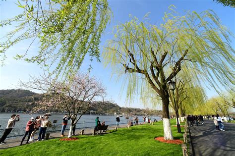 游西湖 游西湖最新消息 新闻 图片 视频 聚合阅读 新浪网