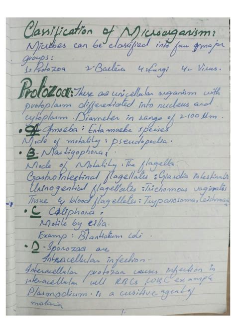 Solution Classification Of Microorganisms Studypool Solution Classification Of Microorganisms Studypool