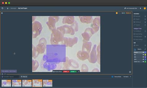 How To Use Annotation Automation To Organize Your Labelling Workforce