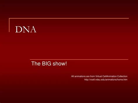 PPT DNA PowerPoint Presentation Free Download ID