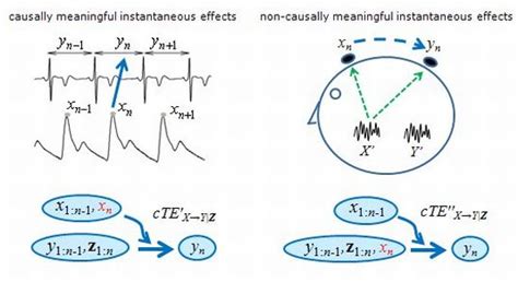 Entropy Free Full Text Compensated Transfer Entropy As A Tool For Reliably Estimating