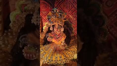 Happyholi Song Youtubeshorts Shorts Youtube