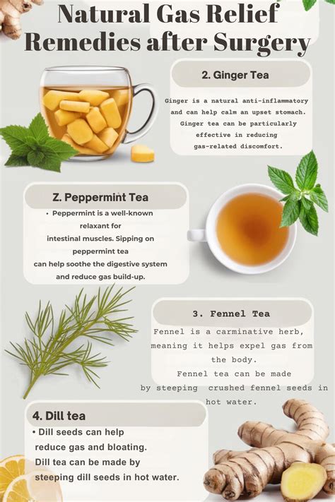 Best 12 The 9 Best Natural Remedies For Gas Artofit