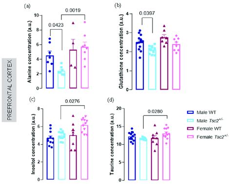 Tsc2 − Leads To Sex Dependent Cortical Metabolite Alterations 1 Download Scientific Diagram
