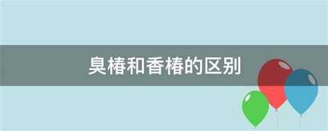 臭椿和香椿的区别 业百科