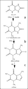 Functional Groups Including Amines And Amides Present In A Caffeine