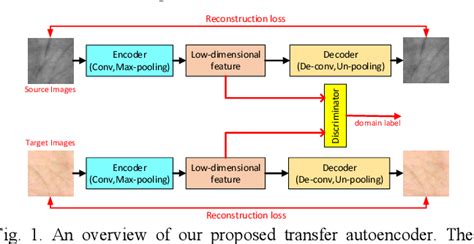 Figure 1 From Cross Domain Palmprint Recognition Based On Transfer Convolutional Autoencoder