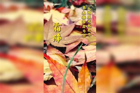 人间至此秋色尽，草木摇落露为霜！秋色草木人间