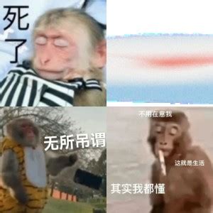 疯猴尊嘟假嘟表情包表情包图片gif动图 求表情网 斗图从此不求人