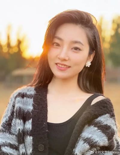 Liu Wen Xue Dramawiki