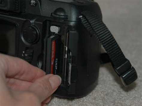Setting Up Your New Digital Camera Dummies