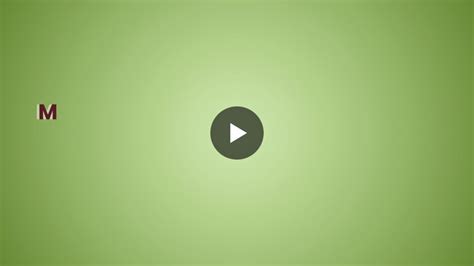 Shopify Ecommerce Shippingsolution Shopifyapps Cynoinfotech