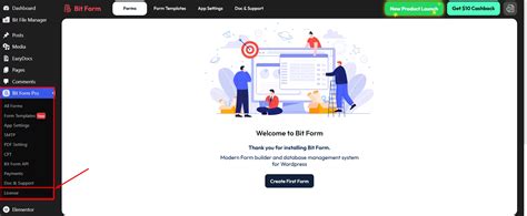 Installation Activate Upgrade Of Bit Form