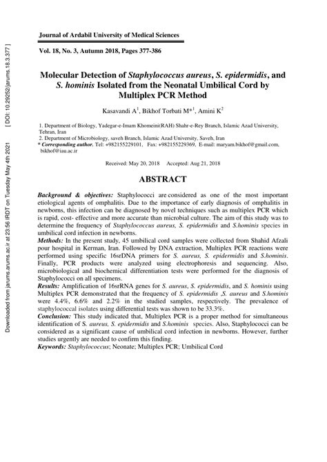 Pdf Molecular Detection Of Staphylococcus Aureus S Epidermidis And S Hominis Isolated From
