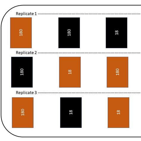 Figure A14 Diagram Of The Arrangement Of The Randomised Complete Download Scientific Diagram