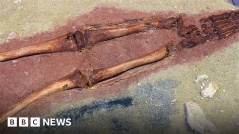 Skeleton Reveals Early Humans Had Sex With Neanderthals BBC News LATEST NEWS STORIES