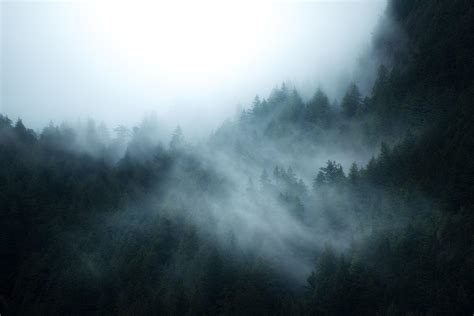 Mist Wallpapers Top Free Mist Backgrounds Wallpaperaccess