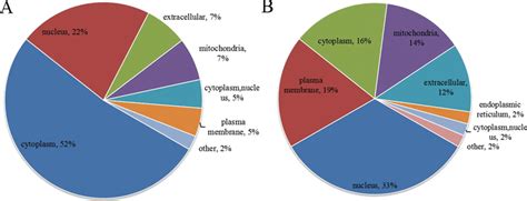 Subcellular Location Of The Differentially Expressed Proteins In Llc Pk Download Scientific