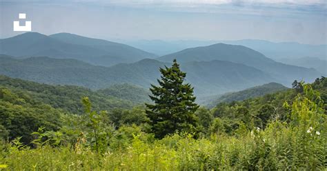 나무와 언덕이있는 풍경 사진 Unsplash의 무료 노스캐롤라이나 이미지