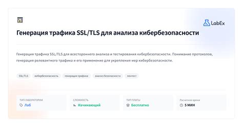 Генерация трафика Ssltls для анализа кибербезопасности Labex