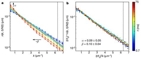 universal scaling dynamics observed by the authors of [18] a time