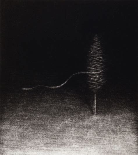 Spinning Tree Kirrily Hammond