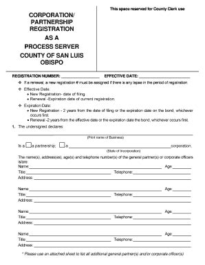 Process Server Forms Fill Online Printable Fillable Blank PdfFiller
