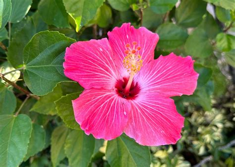 Olivia Gallucci On Linkedin Algorithm Development And Analysis