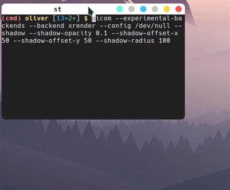 shadow does not respect opacity settings with experimental backends if