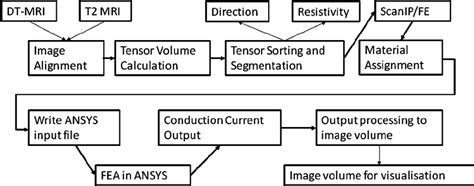 Flow Chart Summary Of Complete Workflow Download Scientific Diagram