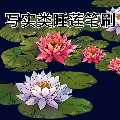 写实类睡莲笔刷 优动漫 动漫创作支援平台 优动漫PAINT绘画软件