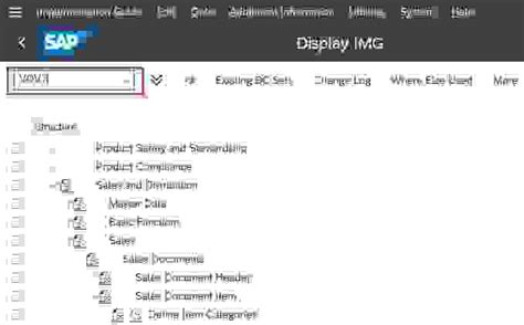 Item Category In Sap