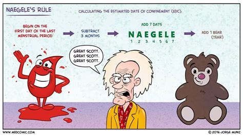 Assessment Gestational Age Pptx