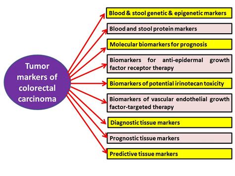 Tumor Markers Of Colorectal Carcinoma New Perspectives