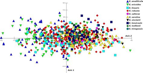 principal coordinates analysis plot of genetic microsatellite data for