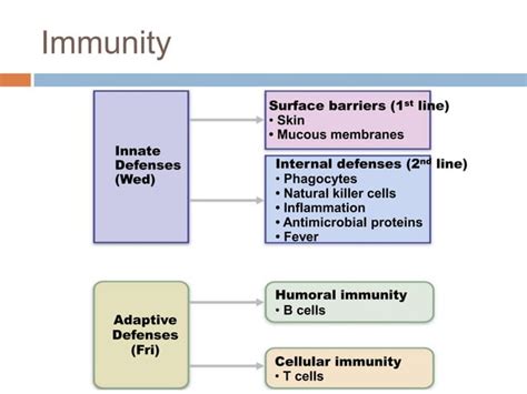 Chapter 21 The Immune System 1